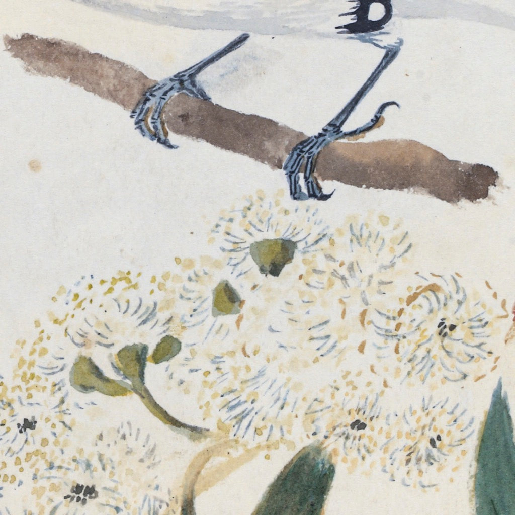 Diamond Firetail (detail) – Australia Prints